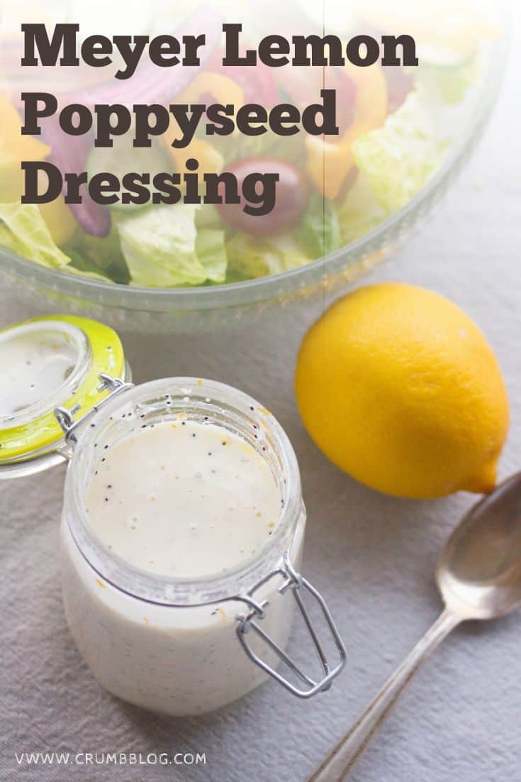 Creamy Lemon Poppyseed Dressing - Crumb: A Food Blog